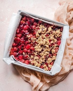 Vegan Raspberry Crumble Bars - Rainbow Plant Life