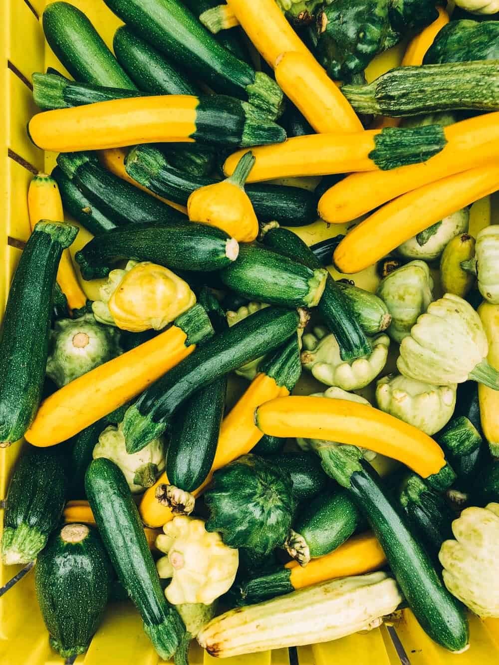 45+ Seasonal Recipes to Make in August | Rainbow Plant Life