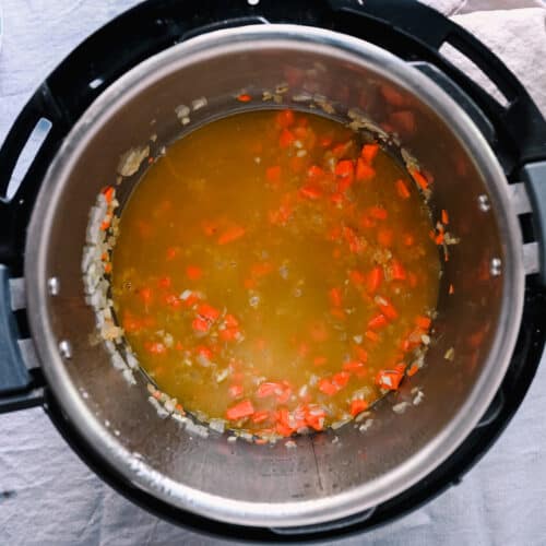 Instant Pot Lentil Soup - Rainbow Plant Life