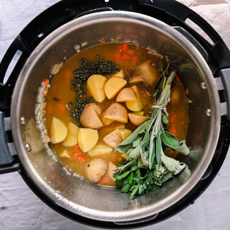 Instant Pot Lentil Soup - Rainbow Plant Life