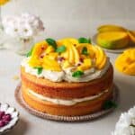 25 Amazing Vegan Cake Recipes - Rainbow Plant Life