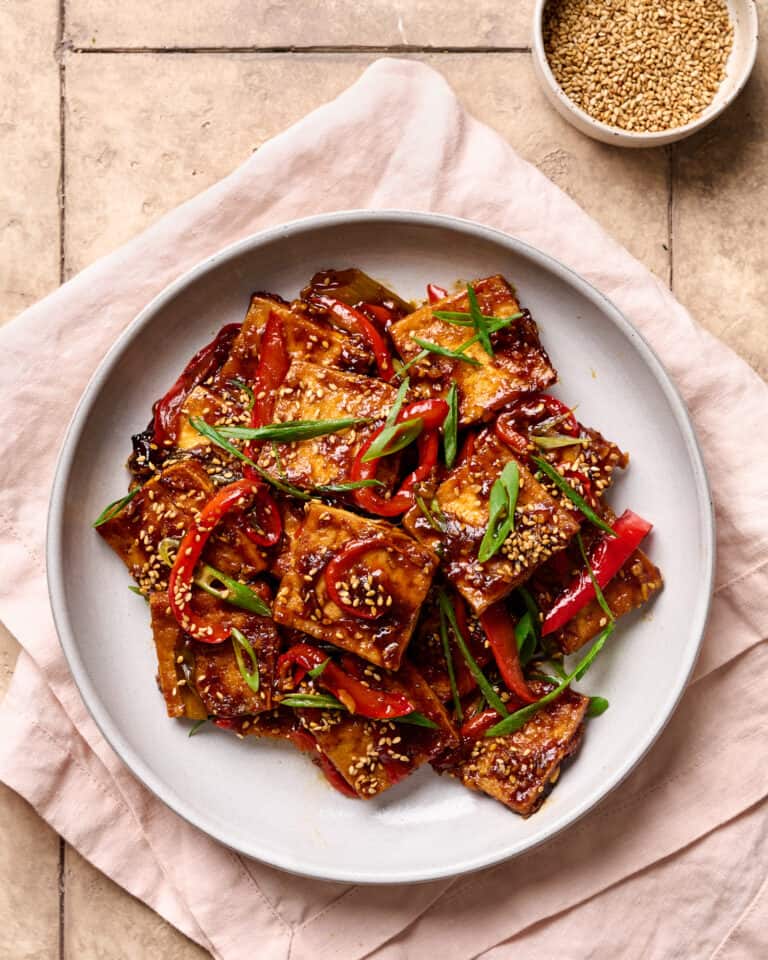 Braised Tofu - Rainbow Plant Life