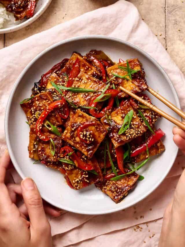 Braised Tofu Rainbow Plant Life