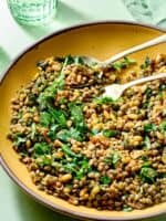 Meal Plans - Rainbow Plant Life